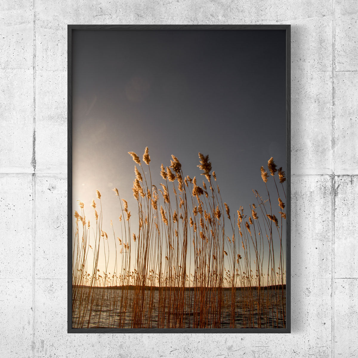 Reed Bolinder beach III